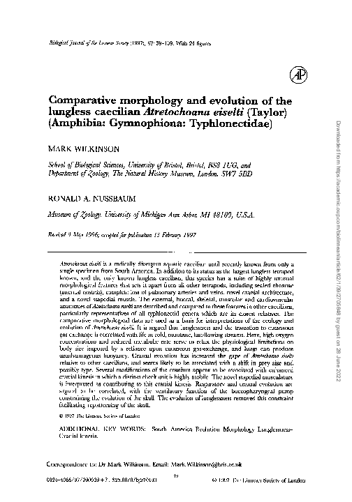 (PDF) Comparative morphology and evolution of the lungless caecilian ...