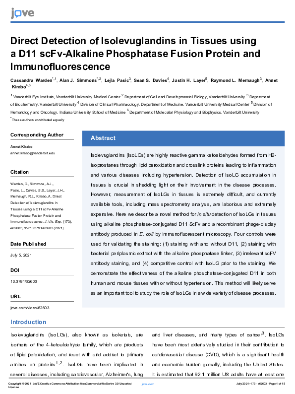(PDF) Direct Detection of Isolevuglandins in Tissues using a D11 scFv ...