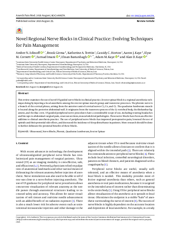 (PDF) Novel Regional Nerve Blocks in Clinical Practice: Evolving Techniques for Pain Management