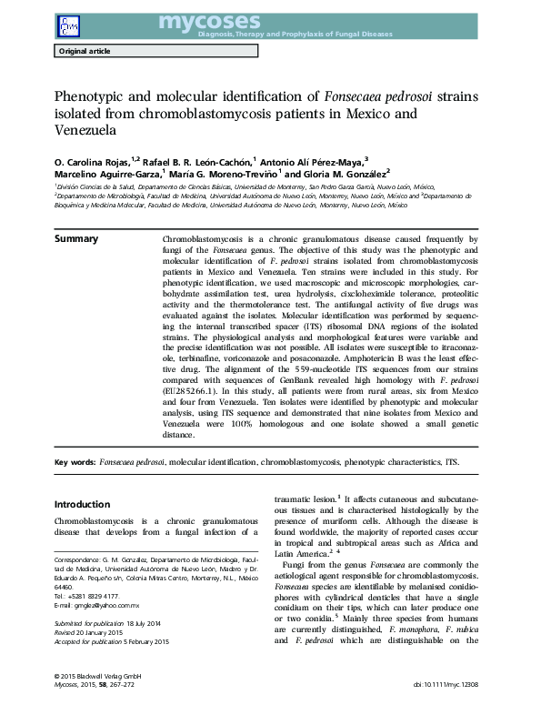(PDF) Phenotypic and molecular identification of Fonsecaea pedrosoi ...