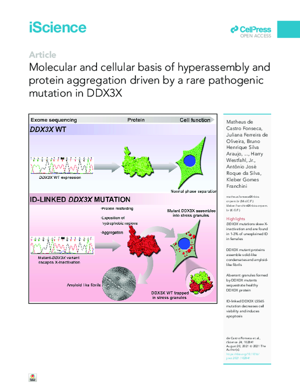 (PDF) Molecular and cellular basis of hyperassembly and protein ...
