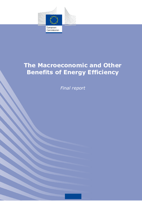 (PDF) The Macroeconomic and Other Benefits of Energy Efficiency Final ...