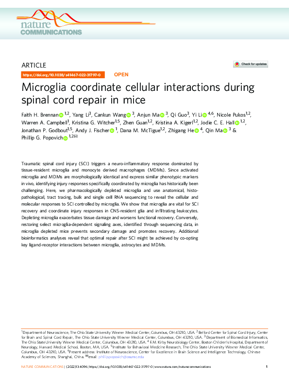 (PDF) Microglia coordinate cellular interactions during spinal cord ...