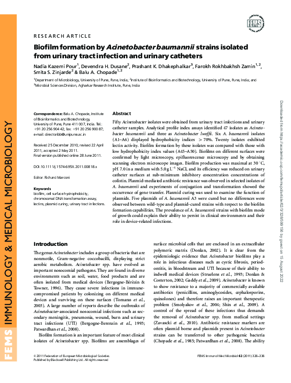 (PDF) Biofilm formation byAcinetobacter baumanniistrains isolated from ...