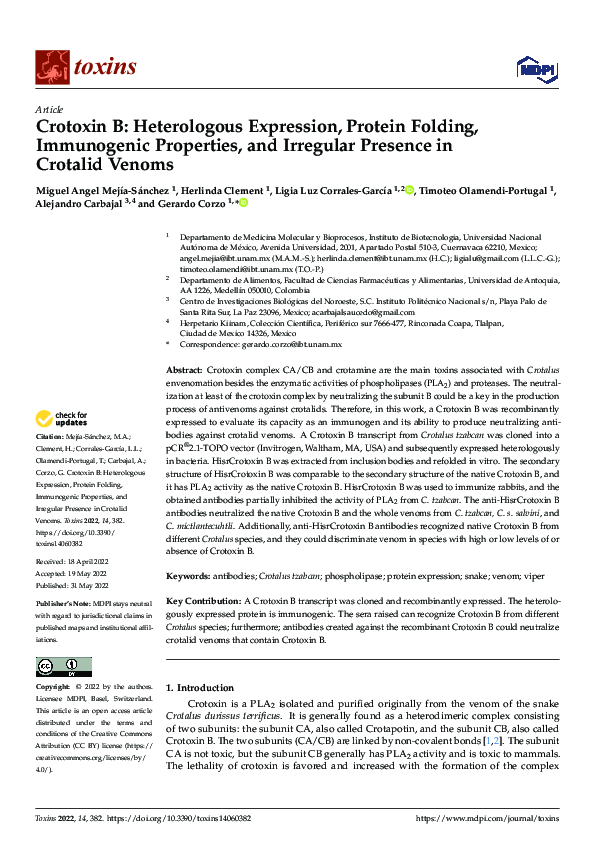 (PDF) Crotoxin B: Heterologous Expression, Protein Folding, Immunogenic ...