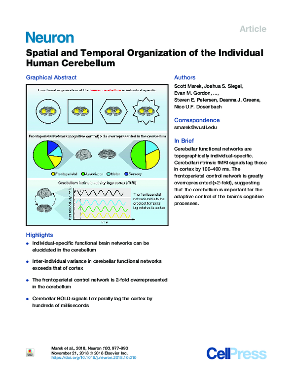 (PDF) Spatial and Temporal Organization of the Individual Human Cerebellum
