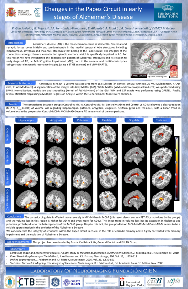 (PDF) Changes in the Papez Circuit in early stages of Alzheimer's Disease