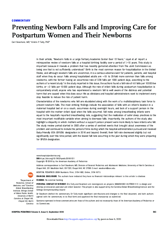 (PDF) Preventing Newborn Falls and Improving Care for Postpartum Women ...