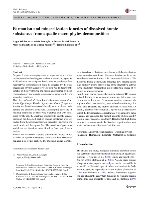 (PDF) Formation and mineralization kinetics of dissolved humic ...