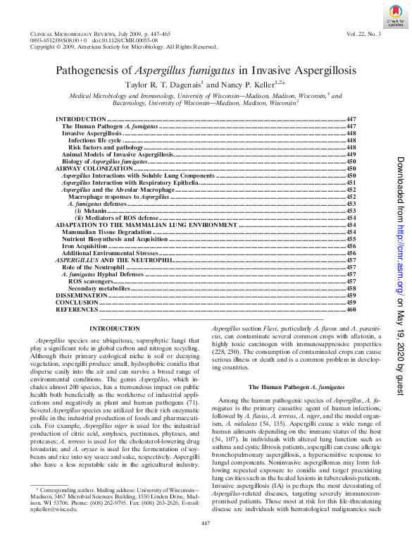 (PDF) Pathogenesis of Aspergillus fumigatus in Invasive Aspergillosis