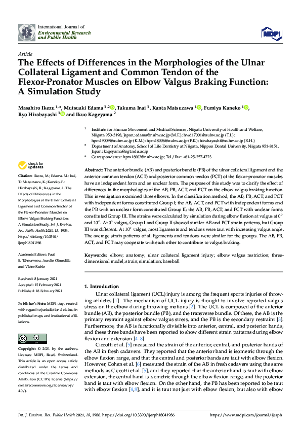 The Effects of Differences in the Morphologies of the Ulnar Collateral ...