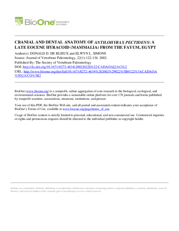 (PDF) Cranial and dental anatomy of Antilohyrax pectidens: a Late ...
