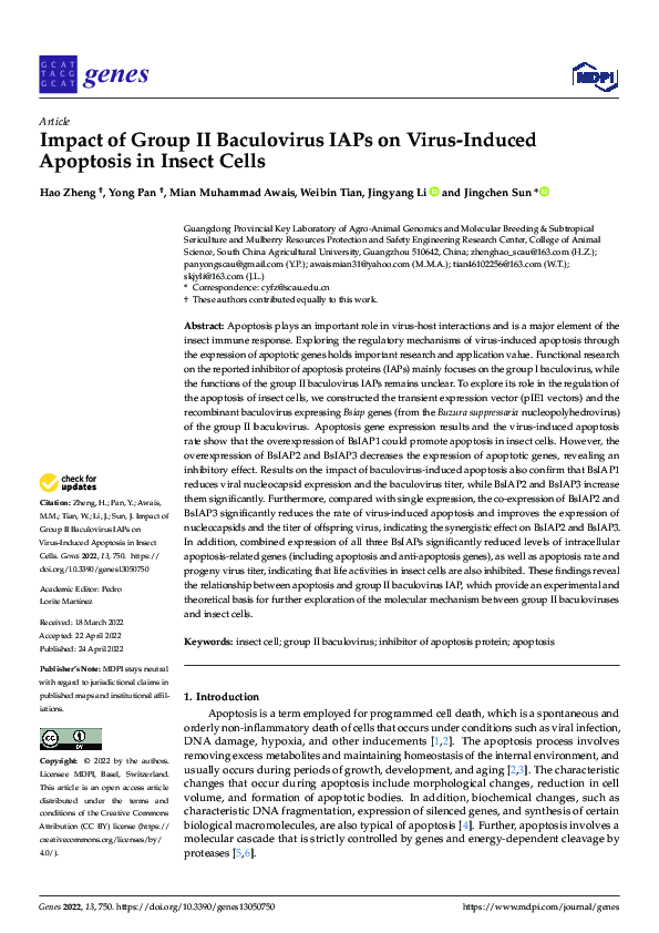 (PDF) Impact of Group II Baculovirus IAPs on Virus-Induced Apoptosis in ...
