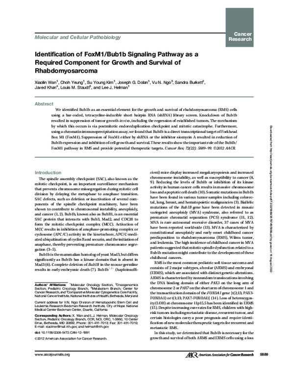 (PDF) Identification of FoxM1/Bub1b Signaling Pathway as a Required ...