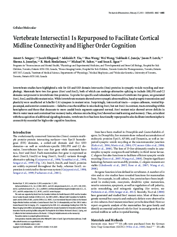 (PDF) Vertebrate Intersectin1 Is Repurposed to Facilitate Cortical Midline Connectivity and ...