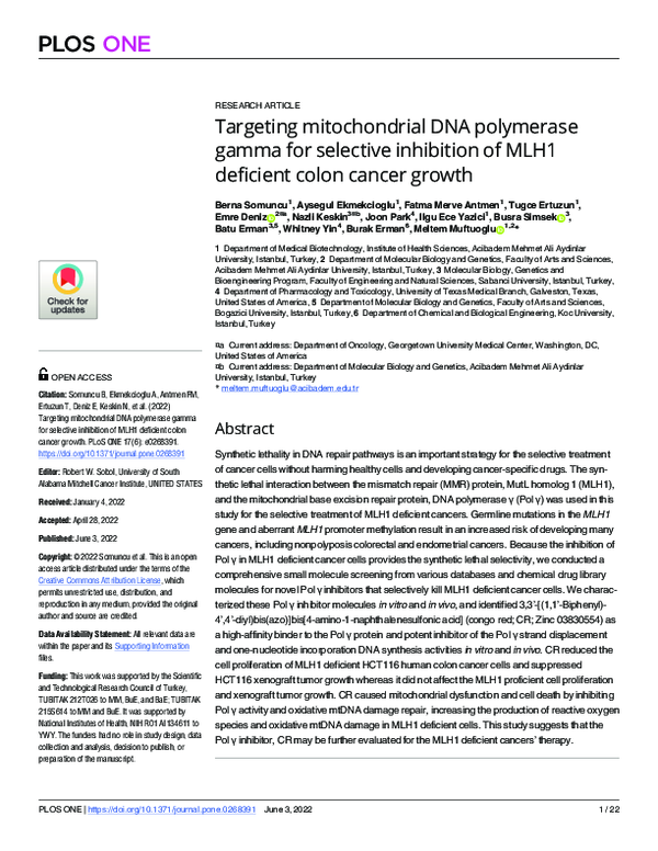 (PDF) Targeting mitochondrial DNA polymerase gamma for selective ...