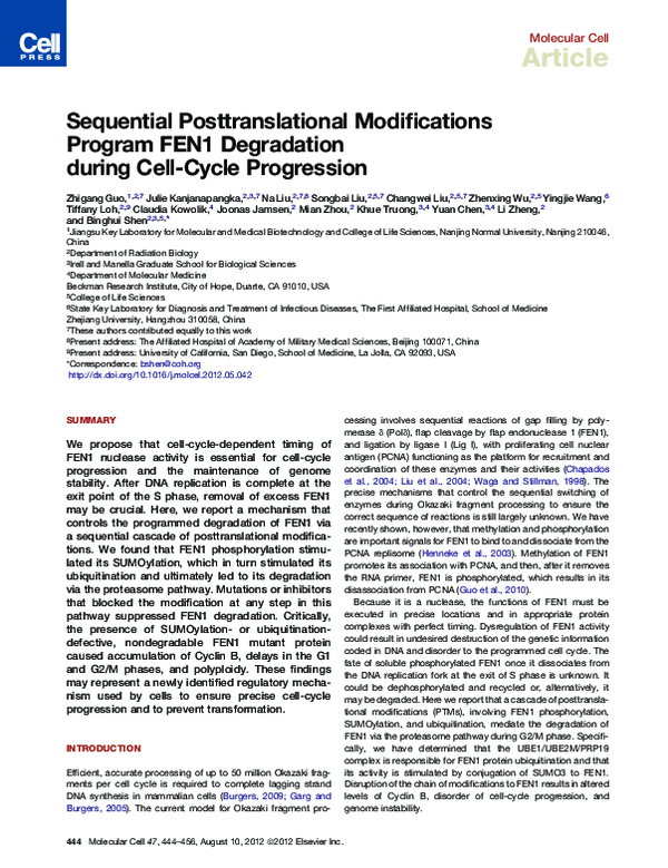 (PDF) Sequential Posttranslational Modifications Program FEN1 ...