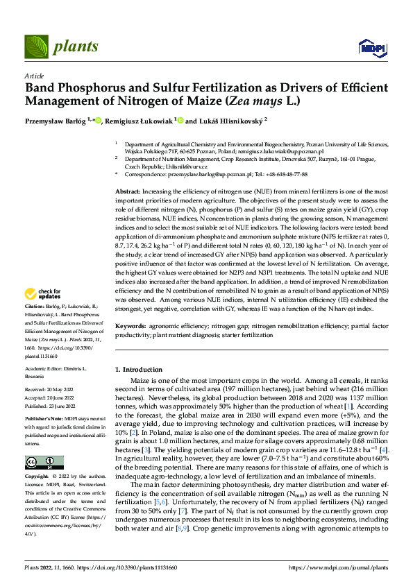 (PDF) Band Phosphorus and Sulfur Fertilization as Drivers of Efficient Management of Nitrogen of ...