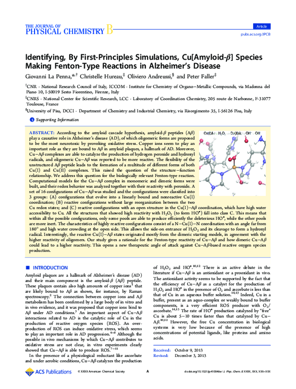(PDF) Identifying, By First-Principles Simulations, Cu[Amyloid-β ...