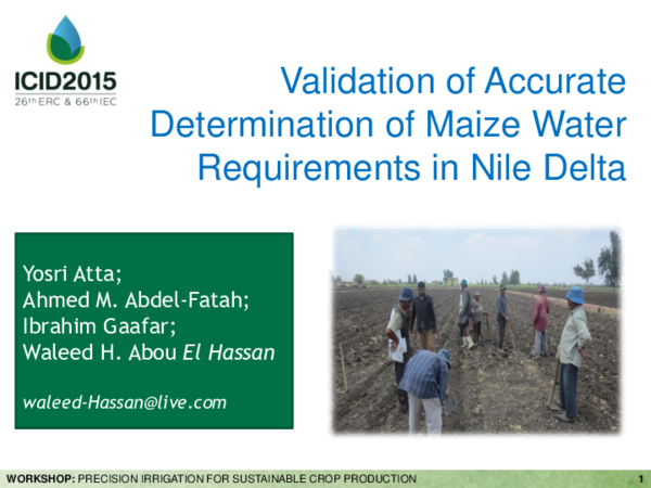 (PDF) Validation of Accurate Determination of Maize Water Requirements ...