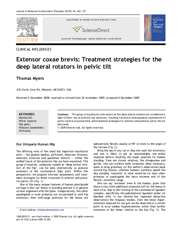 (PDF) Extensor coxae brevis: Treatment strategies for the deep lateral ...