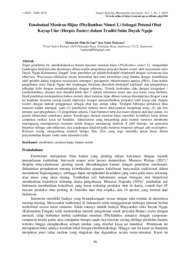 (PDF) Etnobotani Meniran Hijau (Phyllanthus ninuri L) Sebagai Potensi ...