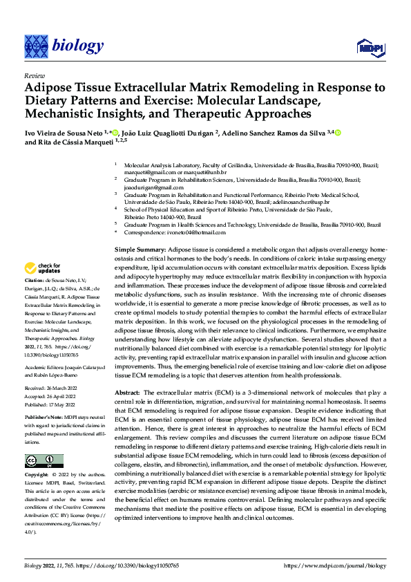 (PDF) Adipose Tissue Extracellular Matrix Remodeling in Response to ...