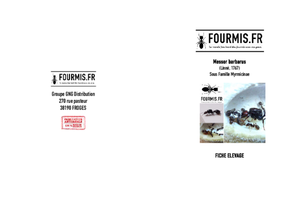 (PDF) Fiche elevage MESSOR BARBARUS