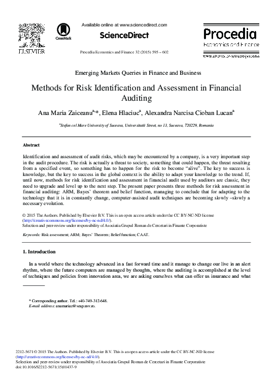 (PDF) Methods for Risk Identification and Assessment in Financial Auditing