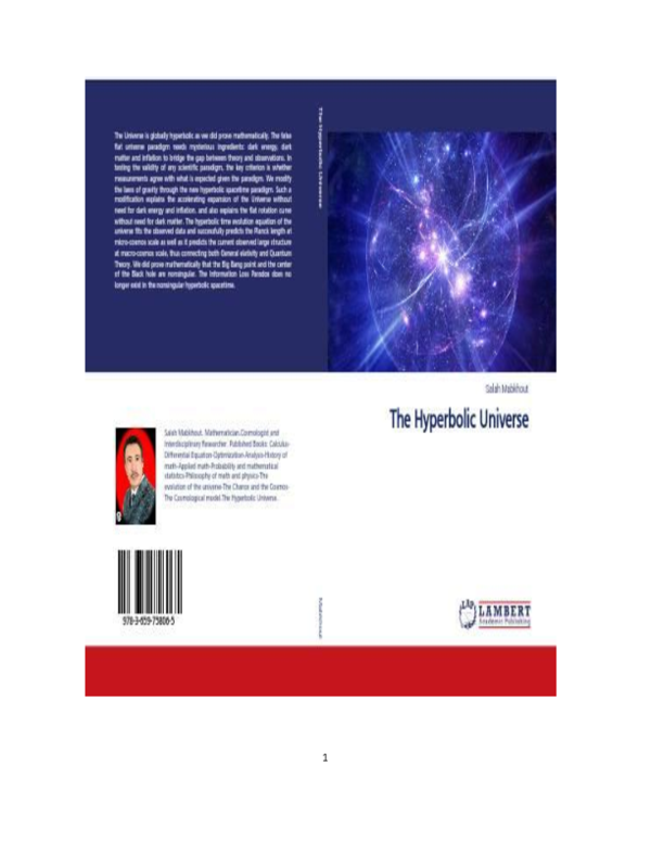(PDF) The Hyperbolic Universe