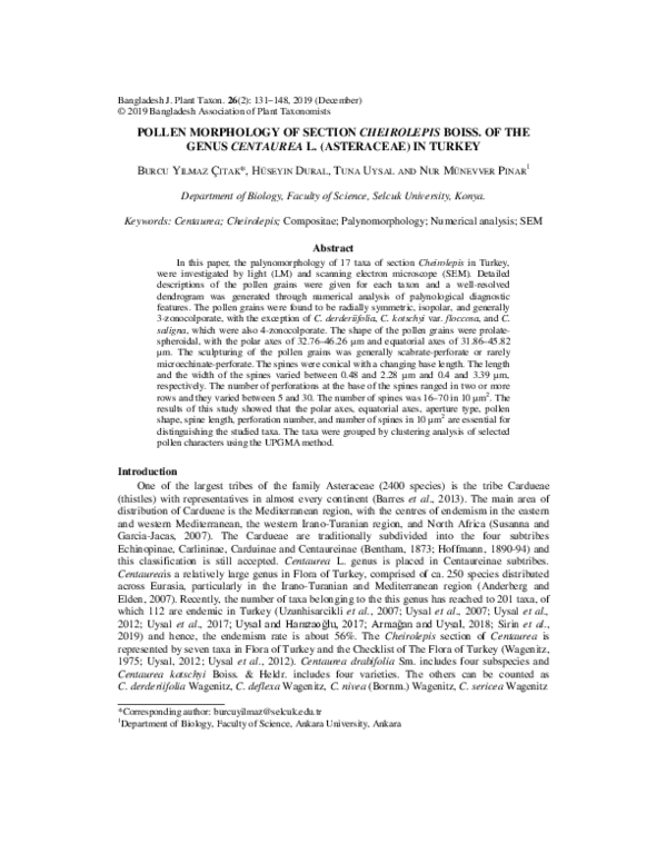 (PDF) Pollen morphology of section Cheirolepis Boiss. of the genus ...