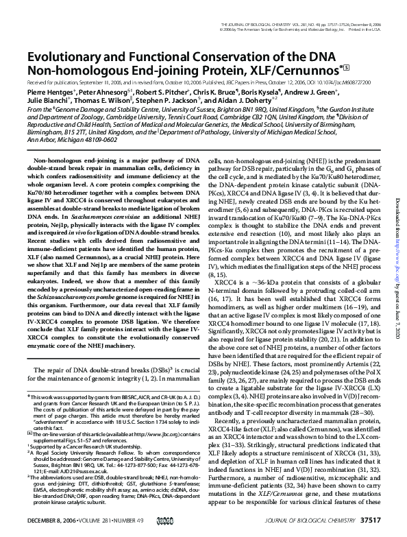 (PDF) Evolutionary and Functional Conservation of the DNA Non-homologous End-joining Protein ...