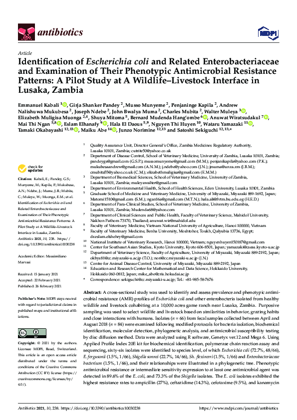 (PDF) E. coli and Enterobacteriaceae Antimicrobial Resistance in Zambia