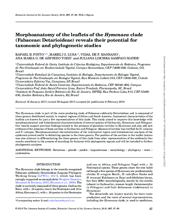 (PDF) Morphoanatomy of the leaflets of the Hymenaea clade (Fabaceae ...