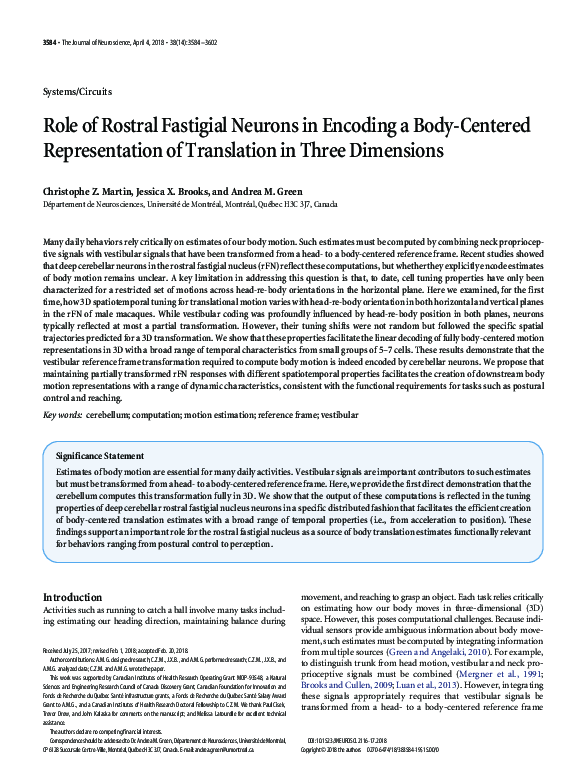(PDF) Role of rostral fastigial neurons in encoding a body-centered ...