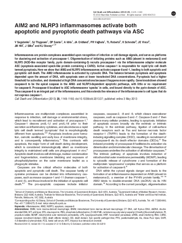(PDF) AIM2 and NLRP3 inflammasomes activate both apoptotic and ...