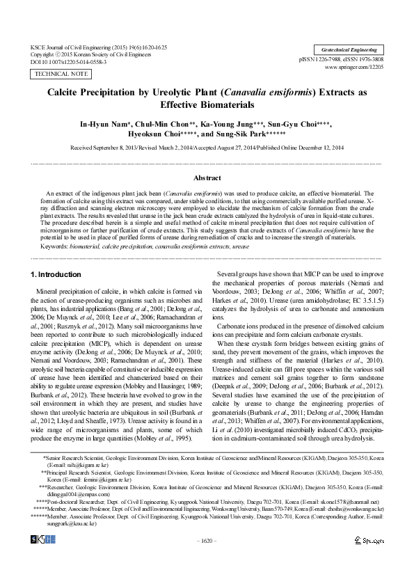 (PDF) Calcite precipitation by ureolytic plant (Canavalia ensiformis ...
