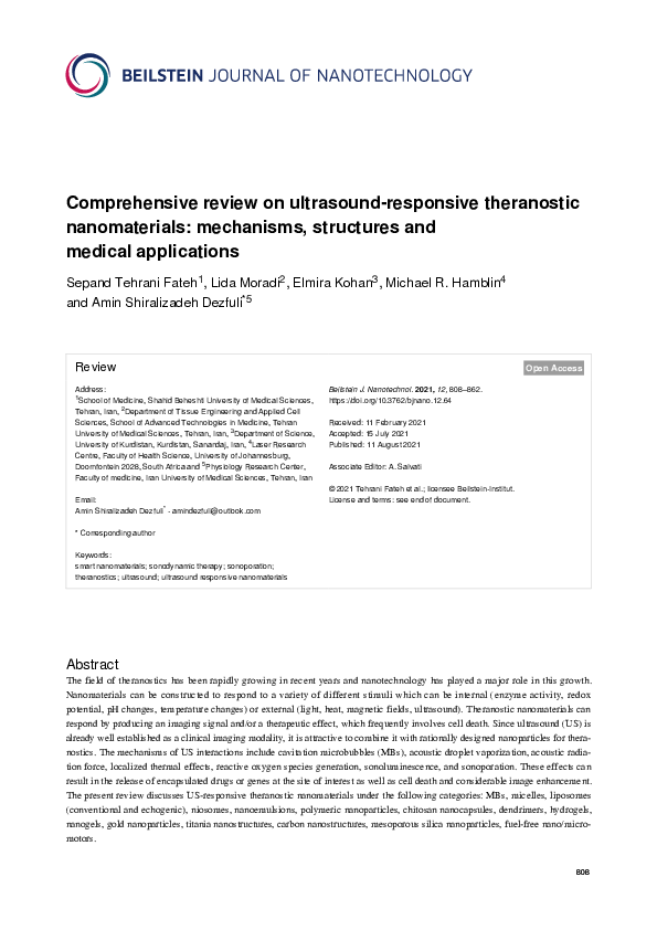 (PDF) Comprehensive review on ultrasound-responsive theranostic ...