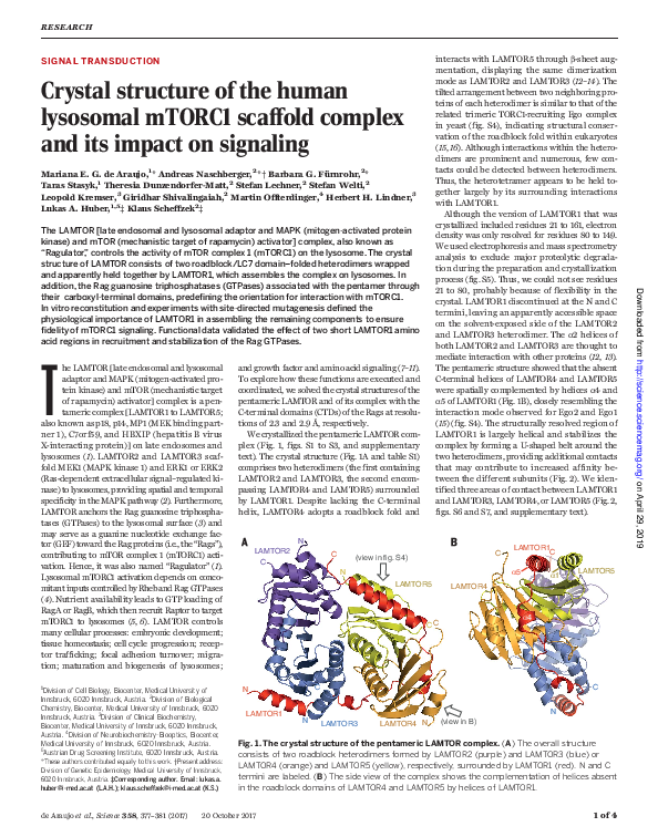 (PDF) Crystal structure of the human lysosomal mTORC1 scaffold complex ...