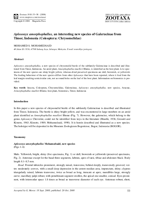 (PDF) Aplosonyx amorphophallus, an interesting new species of ...