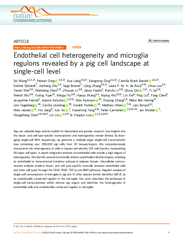 (PDF) Endothelial cell heterogeneity and microglia regulons revealed by ...