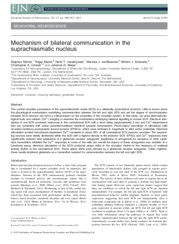 (PDF) Mechanism of bilateral communication in the suprachiasmatic nucleus
