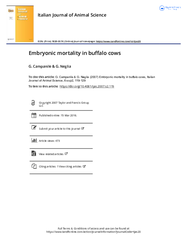 (PDF) Embryonic mortality in buffalo cows