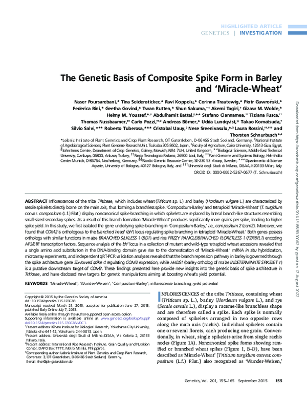 (PDF) The Genetic Basis of Composite Spike Form in Barley and "Miracle ...