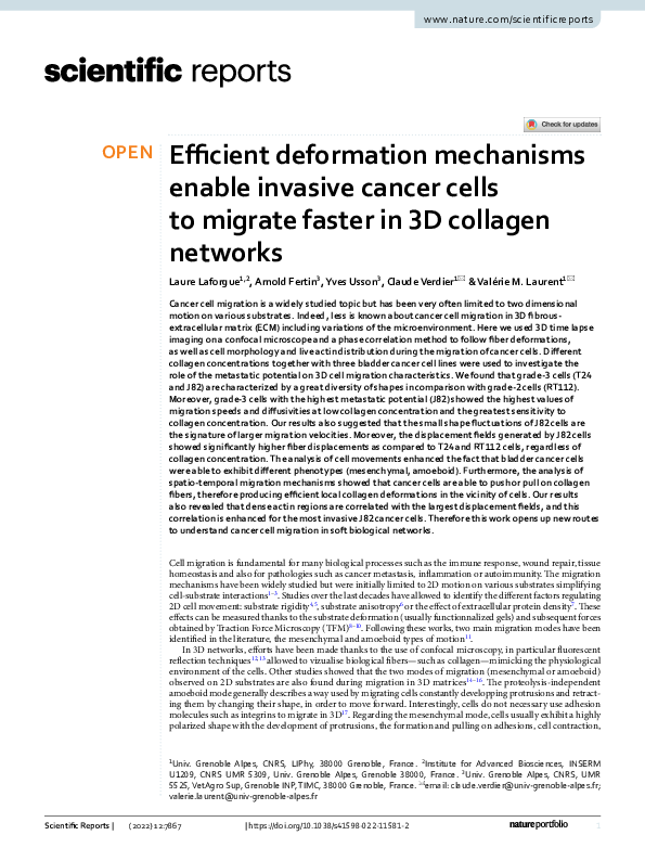 (PDF) Efficient deformation mechanisms enable invasive cancer cells to ...