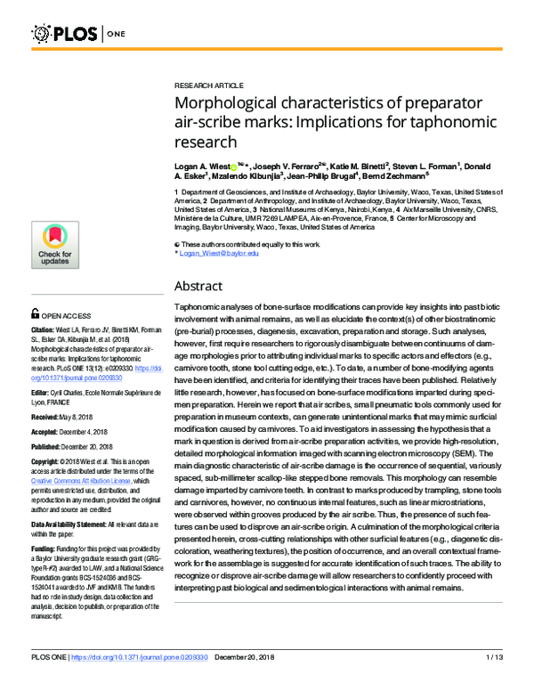 (PDF) Morphological characteristics of preparator air-scribe marks ...