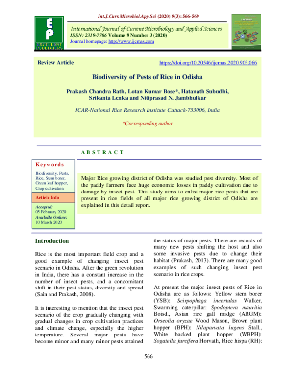 (PDF) Biodiversity of Pests of Rice in Odisha