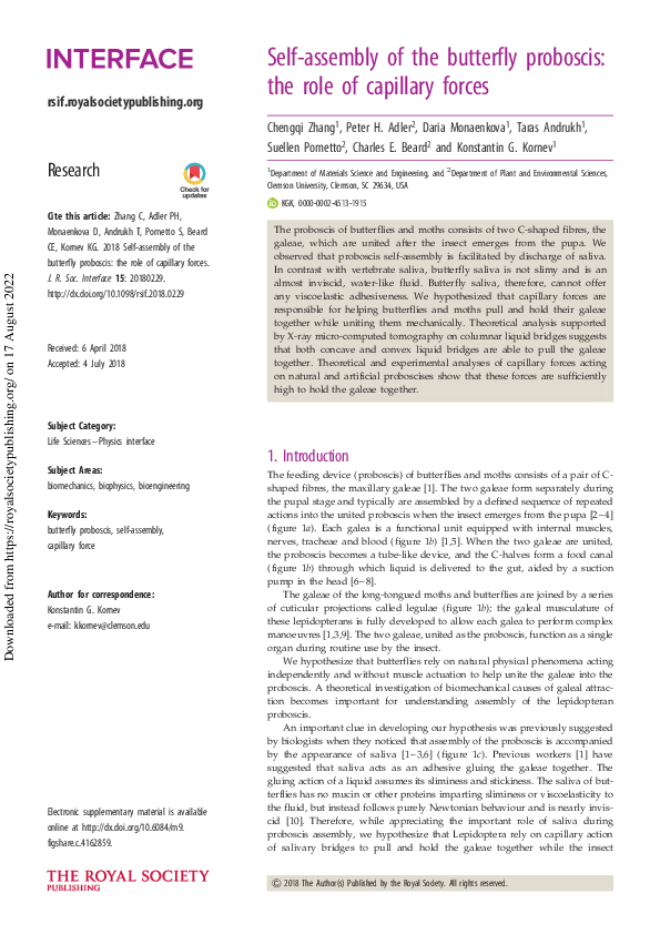 (PDF) Self-assembly of the butterfly proboscis: the role of capillary ...
