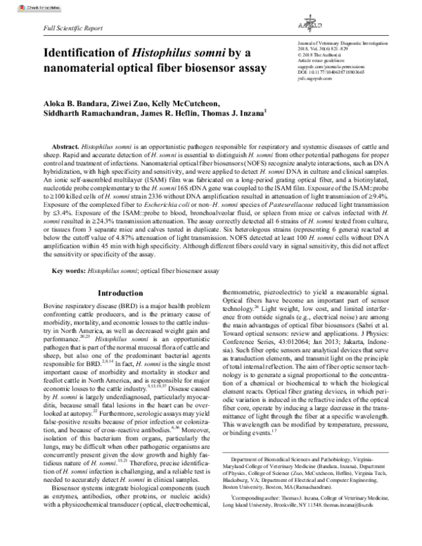 (PDF) Identification of Histophilus somni by a nanomaterial optical ...