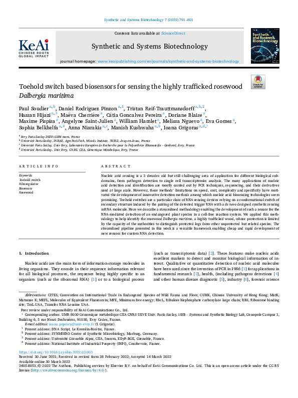 (PDF) Toehold switch based biosensors for sensing the highly trafficked ...